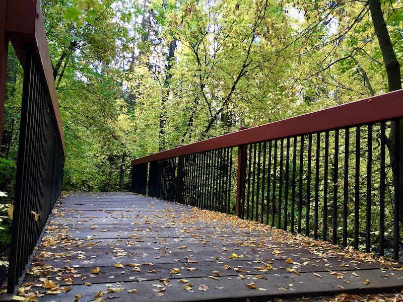 Millcreek Double Track Mountain Biking Trail - Northwest Edmonton