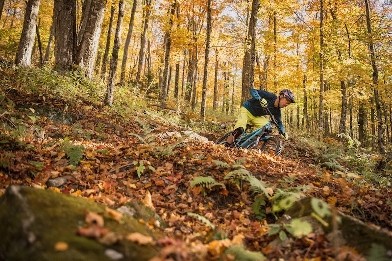 Video: 4 Exercises For Your Fall Routine - Enduro MTB Training - Pinkbike