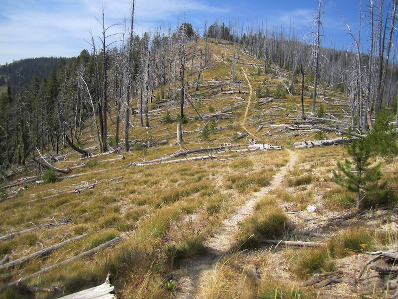 CDT (Big Hole Pass) Mountain Biking Trail - North Fork