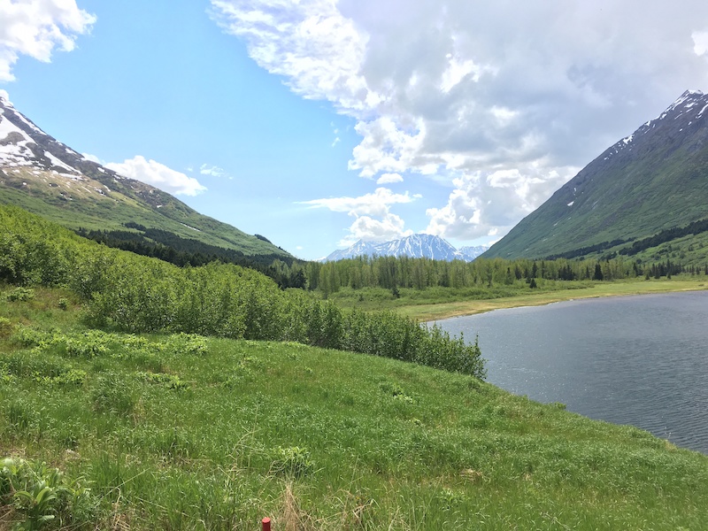 Johnson Pass Mountain Biking Trail - Moose Pass, AK