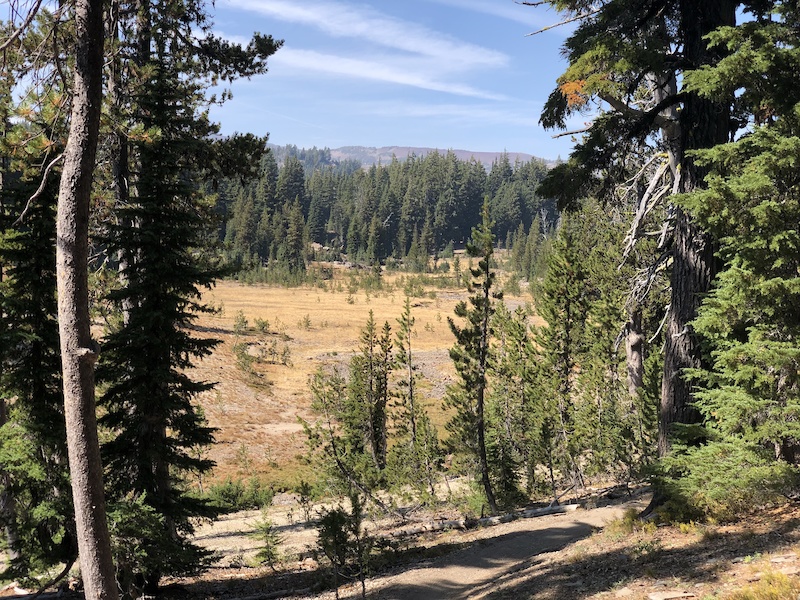 Metolius-Windigo Mountain Biking Trail - Bend, Oregon