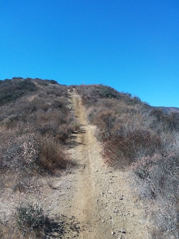 Hidden Rim Ridge Trail Mountain Biking Trail - Thousand Oaks
