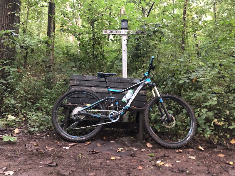 Coventry woods Mountain Biking Trails | Trailforks