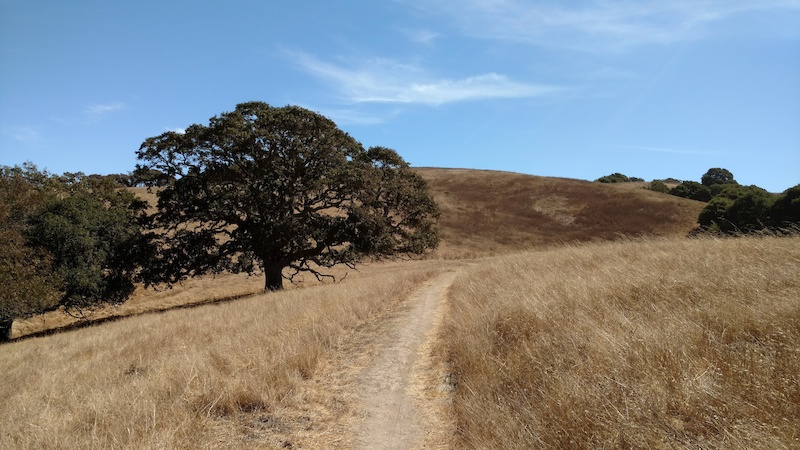 Fernandez Ranch Chill Loop Mountain Biking Route | Trailforks