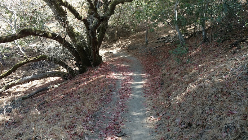 Fernandez Ranch, Martinez Mountain Biking Trails | Trailforks