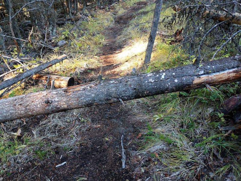 Berms Mountain Biking Trail - Merritt, British Columbia