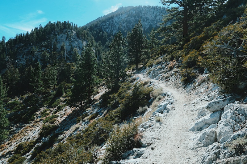 Corral - Heavenly - Armstrong Loop - Rose 2 Toads Training Mountain ...