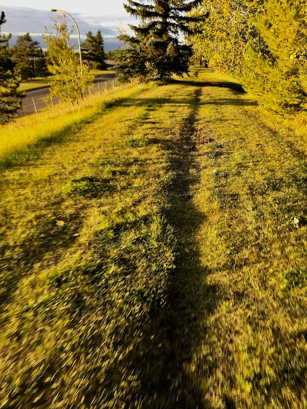 Ruby Ridge Mountain Biking Trail - Northwest Edmonton