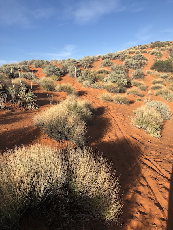 Gila Trail Hiking Trail - St. George, Utah | Trailforks