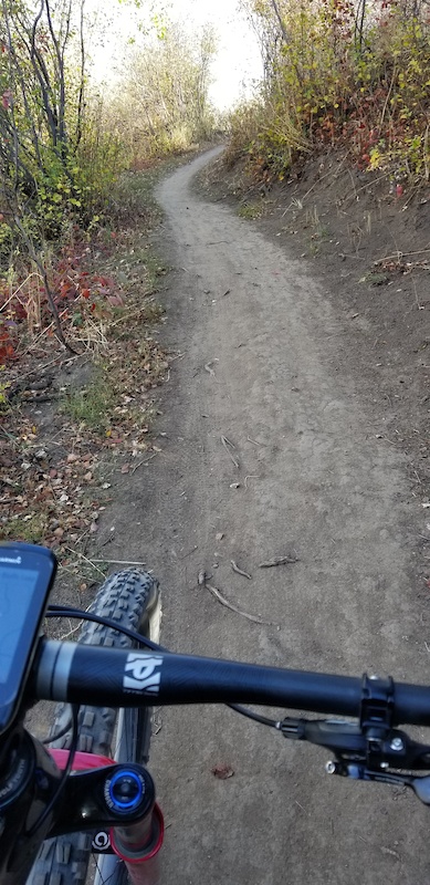 Bluffs Loop Mountain Biking Trail - Steamboat Springs