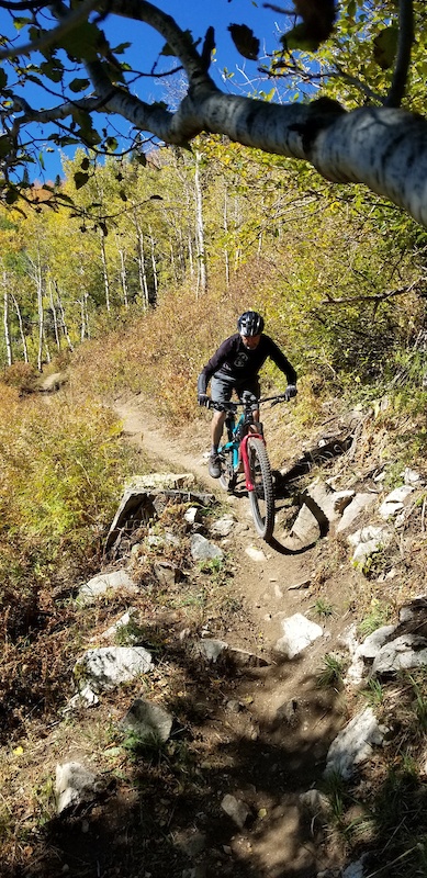 Moonlight Mountain Biking Trail - Steamboat Springs