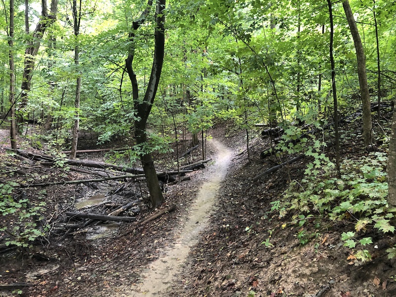 Upper Mac Trails Mountain Biking Trail - Holland, MI