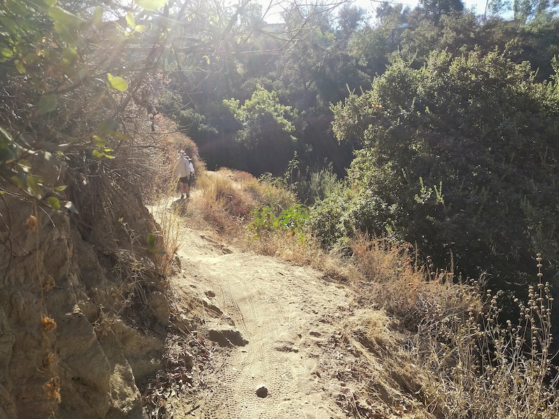 El Prieto Trail Mountain Biking Trail - Altadena, CA