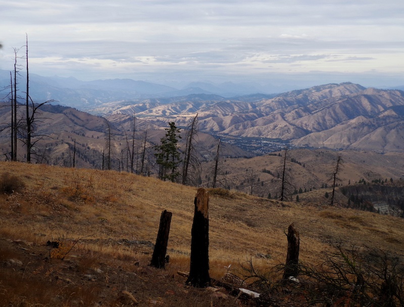 Horselake road - upper Mountain Biking Trail - Wenatchee, WA