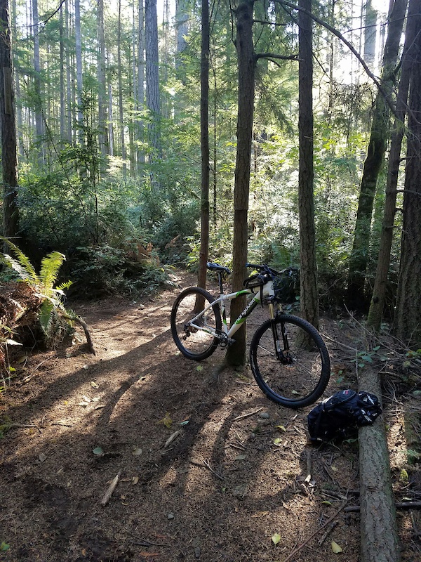 Stumps Mountain Biking Trail - Port Orchard, Washington