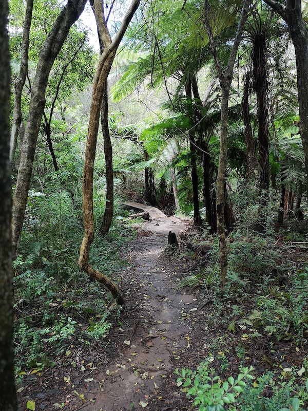 Manly Dam, Red Hill and Deep Creek Mountain Biking Route | Trailforks