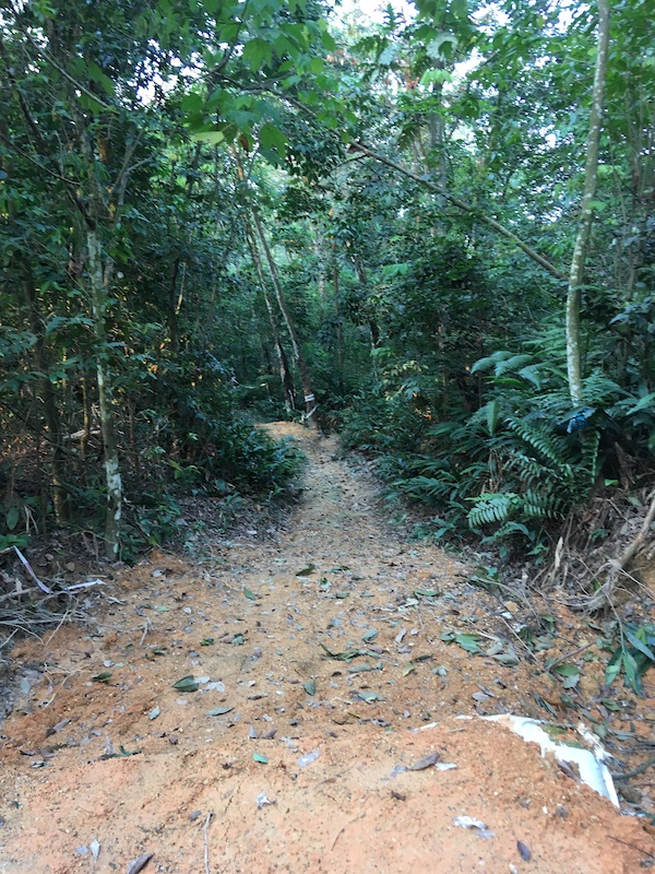Bukit Dinding - DH Line Mountain Biking Trail - Kuala Lumpur