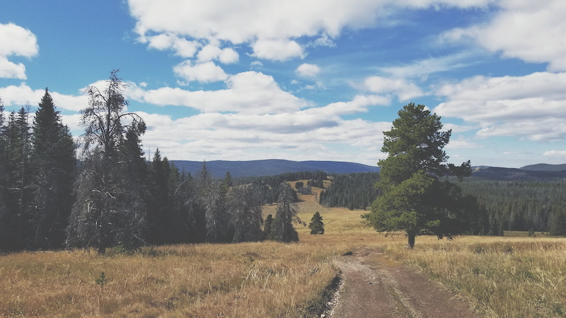 Mt Fleecer, Butte Mountain Biking Trails | Trailforks
