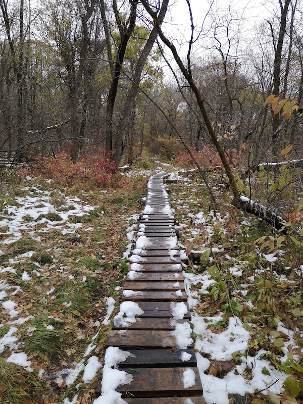 Fire Ant Mountain Biking Trail - Brandon, Manitoba