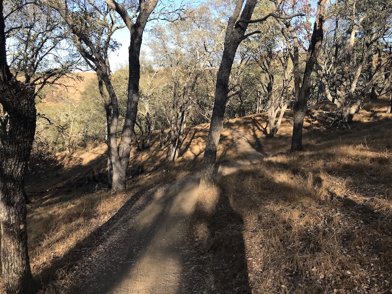 Calero Park Loop Mountain Biking Route | Trailforks