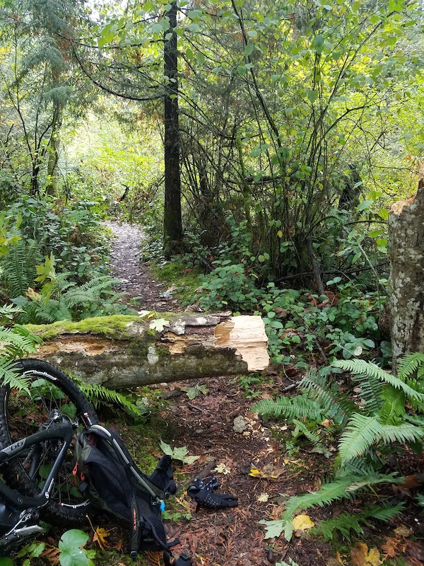 Creek Side West Mountain Biking Trail - Maple Valley