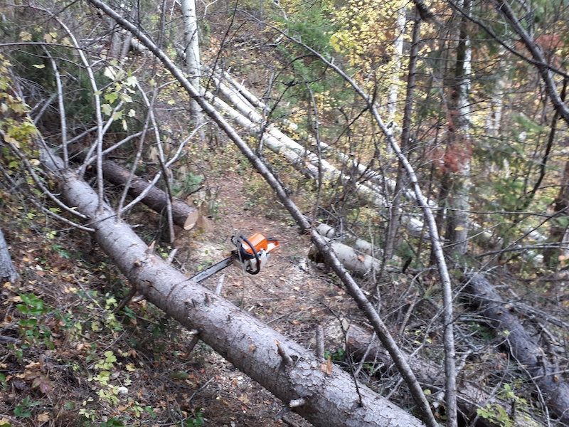 Lynch Creek Mountain Biking Trail - Grand Forks, BC