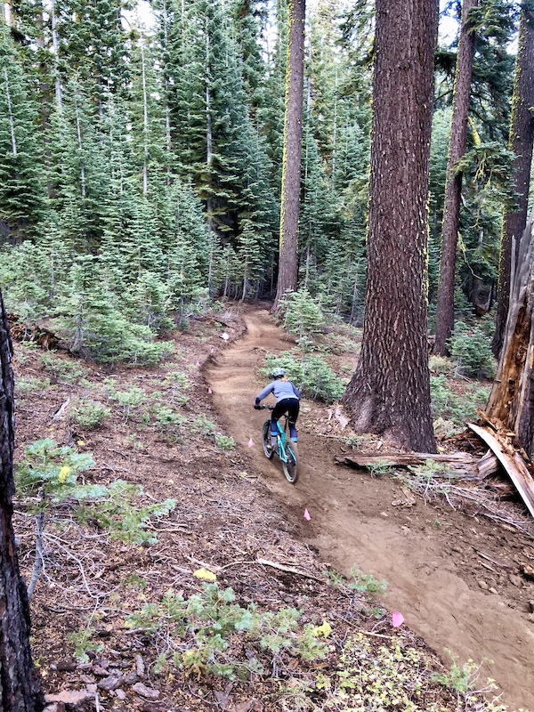 Stanford Rock Trail Mountain Biking Trail - Tahoe City