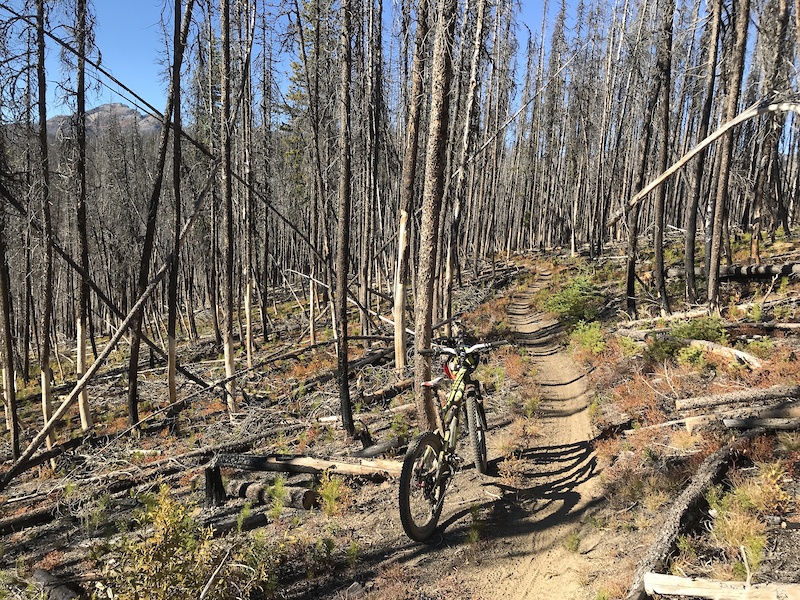 Duncan Hill Trail #1434 Mountain Biking Trail - Plain