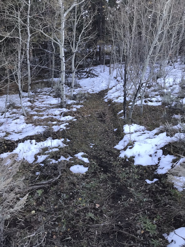 Duncan Ranch Loop Mountain Biking Trail - Glenrock