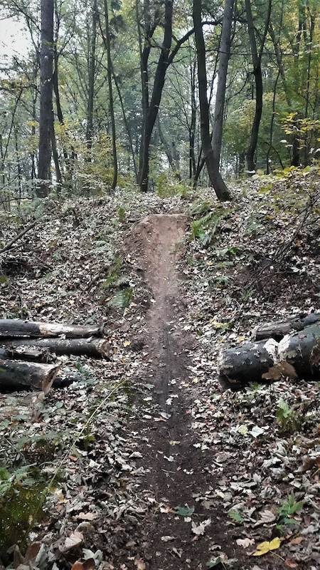 Flow Mountain Biking Trail - Michałowice | Trailforks