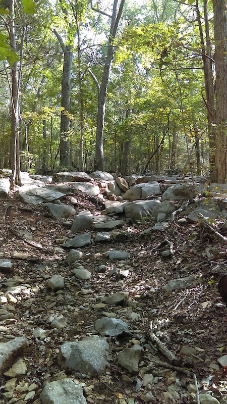 Bluff Line Trail Multi Trail - Huntsville, Alabama