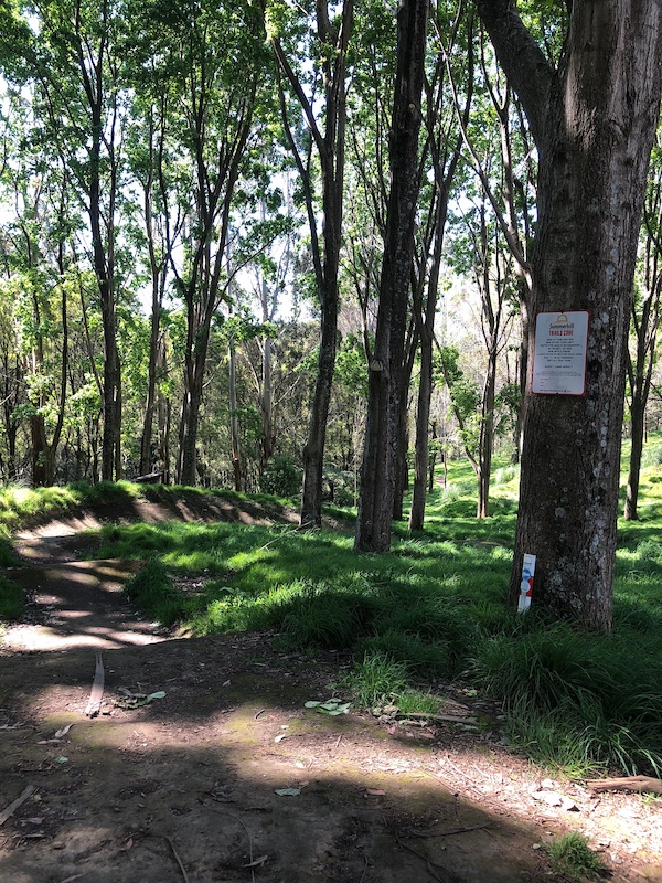 Challenge Jump Loop Mountain Biking Trail - Tauranga