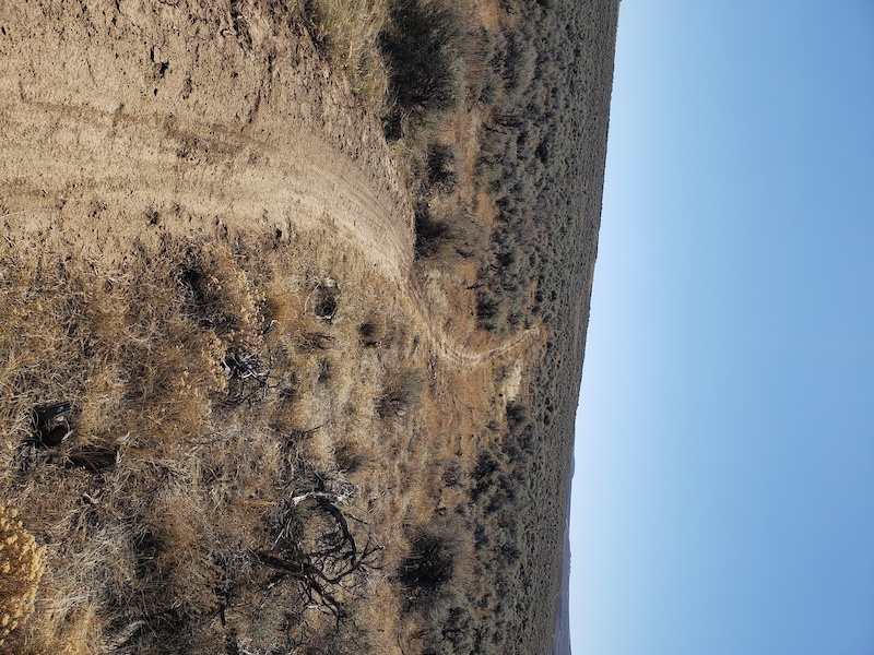 Horney Toad Mountain Biking Trail - Evanston, Wyoming