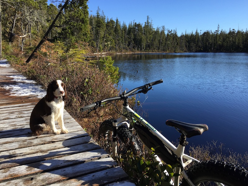 Fort Rupert Trail Mountain Biking Trail - Port Hardy, BC