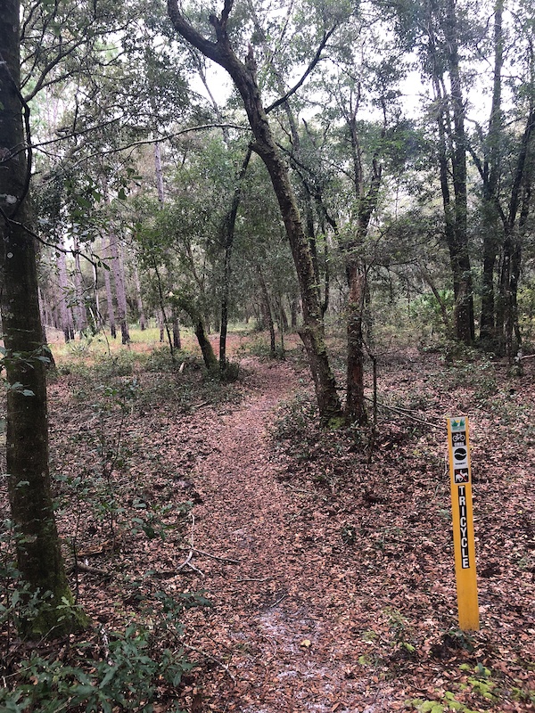 North Central Florida Region, Florida Mountain Biking Trails | Trailforks