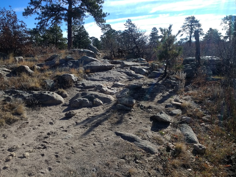 Palmer Divide Ranch Loop Mountain Biking Trail - - Colorado