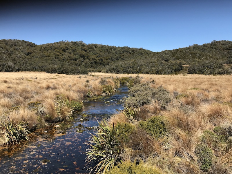 Heaphy Track Mountain Biking Trail - | Trailforks