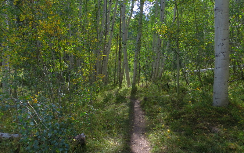 Death Pass Mountain Biking Trail - Crested Butte, CO