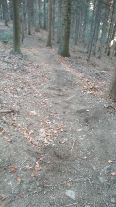 Marcinkówka DH Mountain Biking Trail - | Trailforks