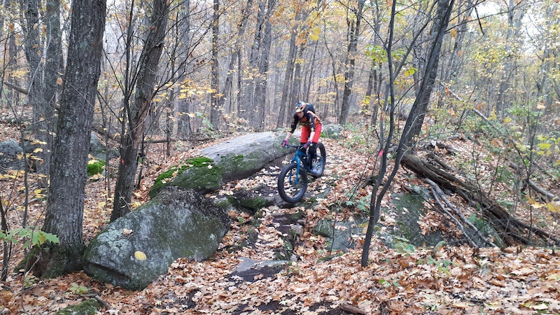 Gnarnia Mountain Biking Trail - Bracebridge, Ontario