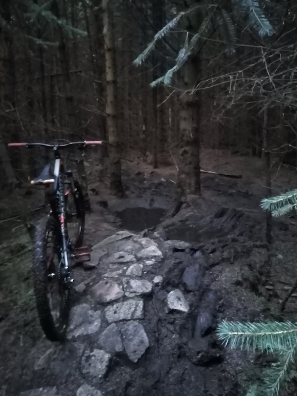 Access Trail Hiking Trail - Durris Forest, Durris