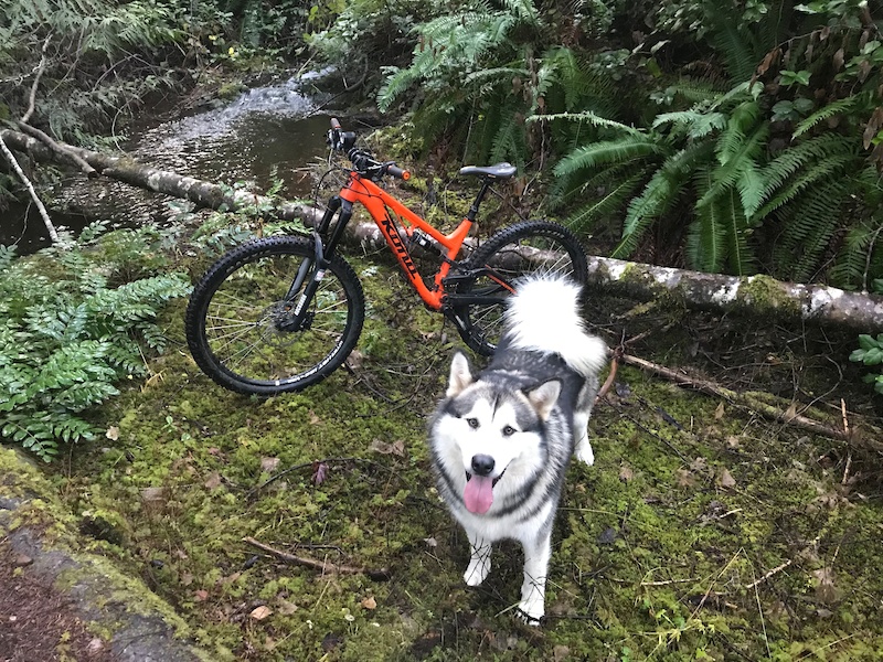 Riley Lake Mountain Biking Trail - Campbell River, BC
