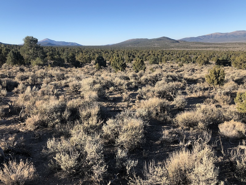 Lone Tree Mountain Biking Trail - Ely, Nevada