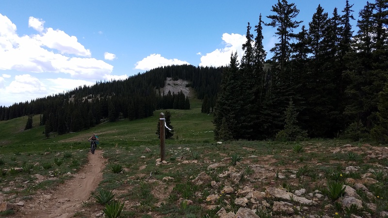 Cement Mountain/Julie Andrews Multi Trail - Crested Butte