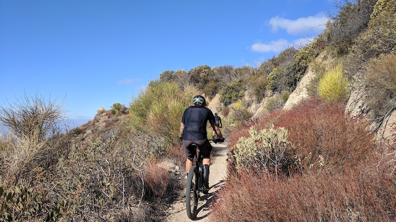 Haines Canyon Mountain Biking Trail - Tujunga, CA