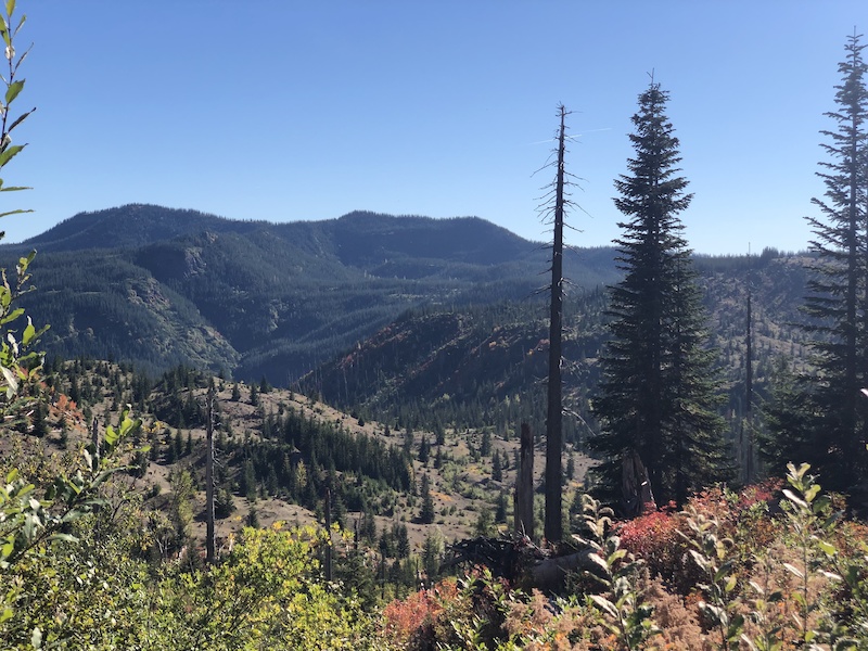 Strawberry Ridge Mountain Biking Trail - Randle, WA
