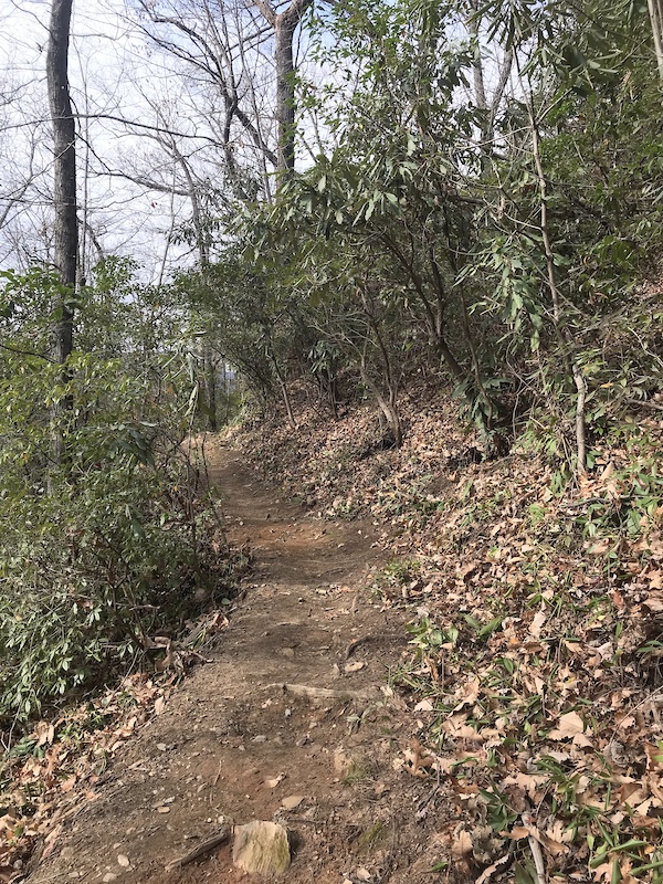 Star Gap Multi Trail - Old Fort, North Carolina