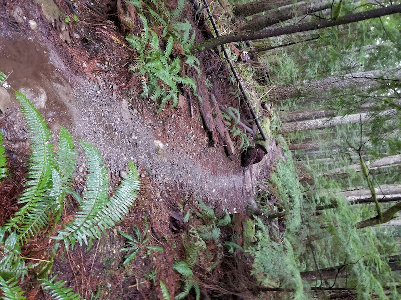 Preston RR Grade Mountain Biking Trail - Issaquah, WA