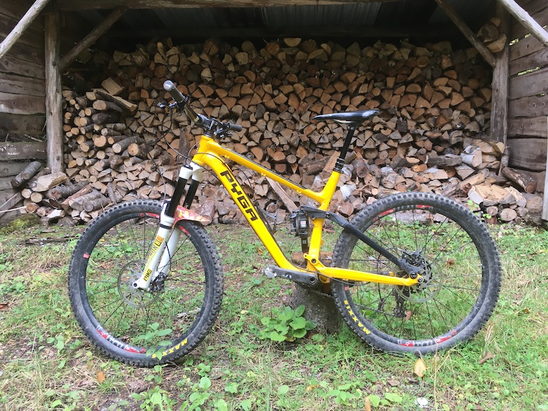 Pyga oneforty pascoe edition For Sale