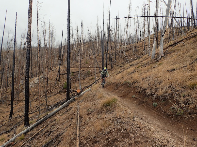 Pigtail Mountain Biking Trail - Stanley, Idaho